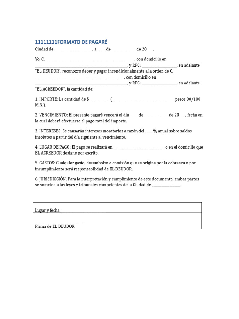 Formato Pagare | PDF