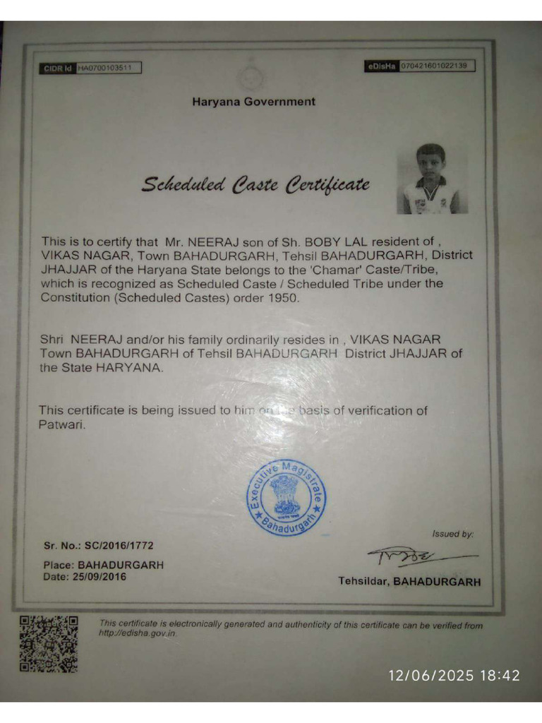 Caste Certificate | PDF