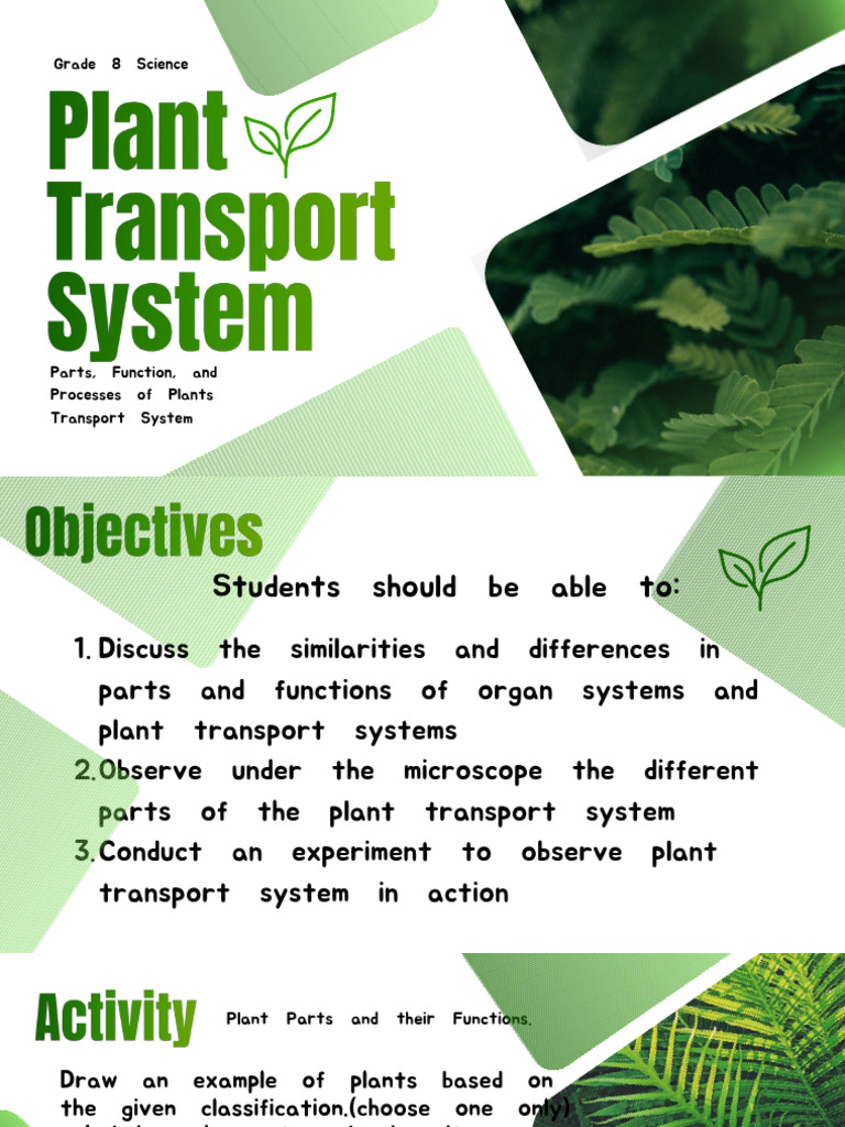 Plant Transport System Presentation in Green Gradient Style | PDF ...