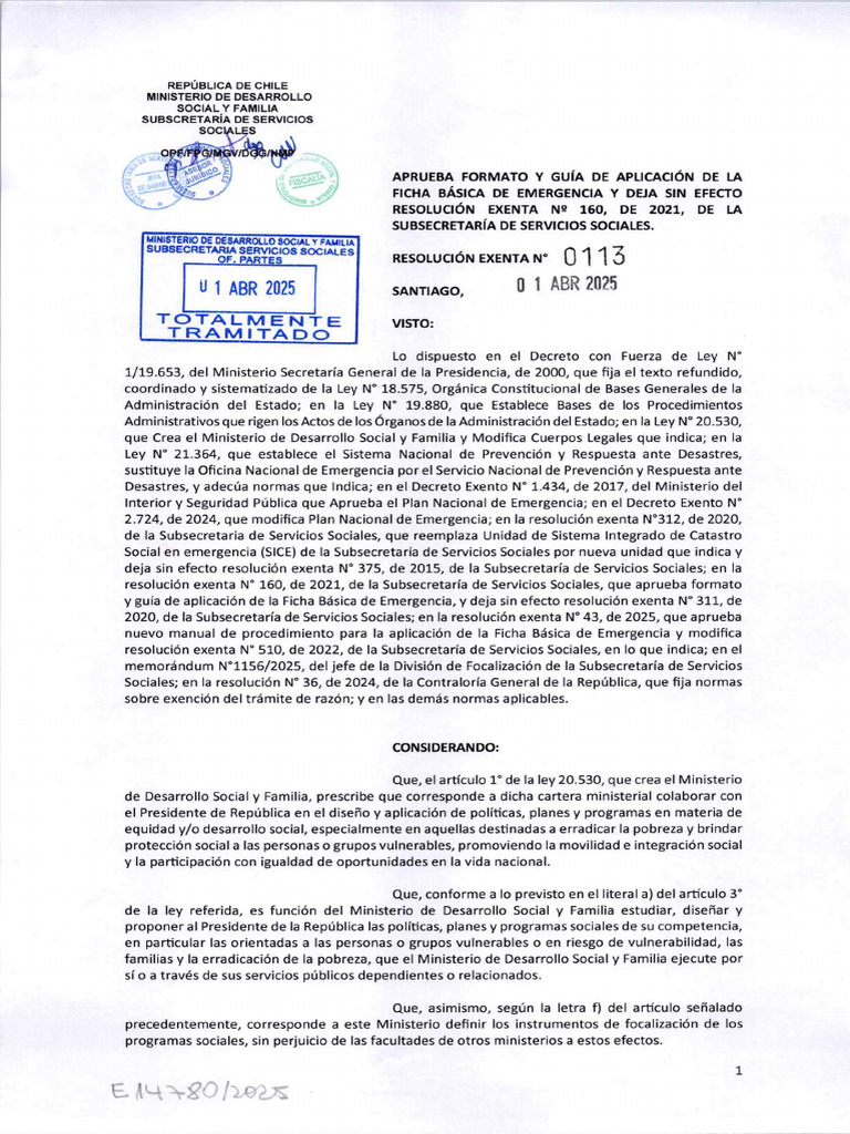 Rex 0113 Aprueba Formato y Guia Fibe E14780 | PDF | Chile