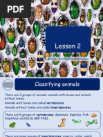 Animal Classification Charts | PDF | Invertebrate | Egg