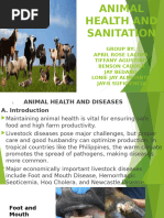 Animal Behavior Observation Guide | PDF | Observation | Ethology