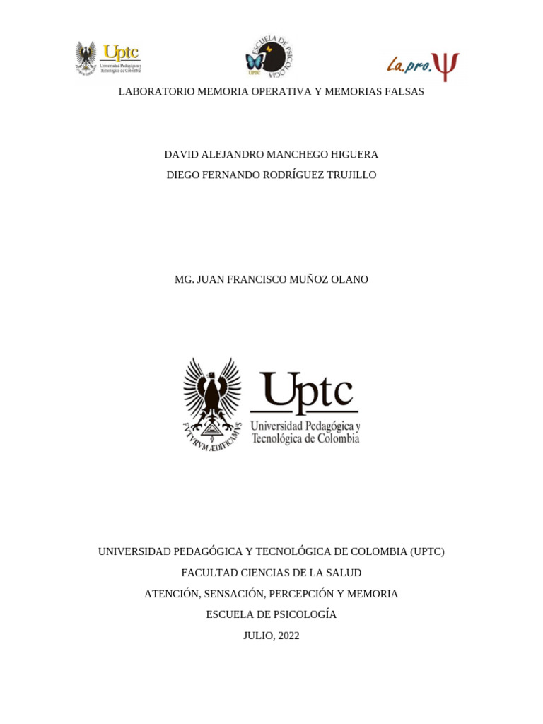 Memoria Operativa y Falsas Memorias | PDF | Memoria | Memoria de trabajo