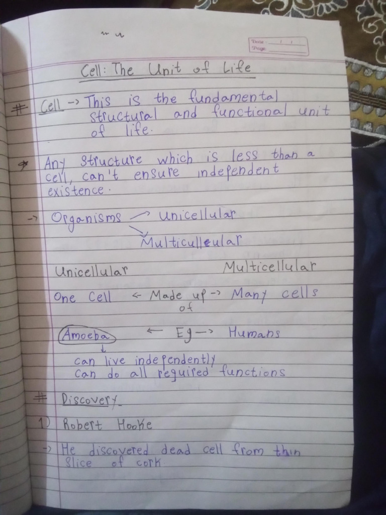 Botany Notes (Prokaryotic Cells) | PDF