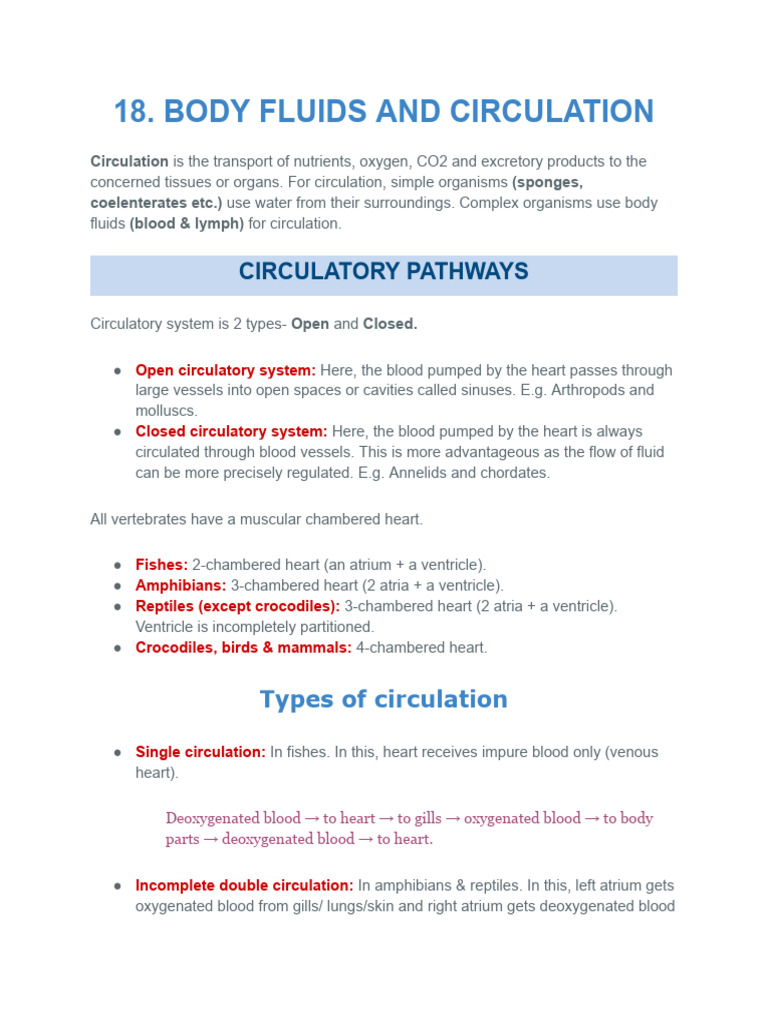 Body Fluids and Circulatory Systems Explained | PDF | Atrium (Heart ...