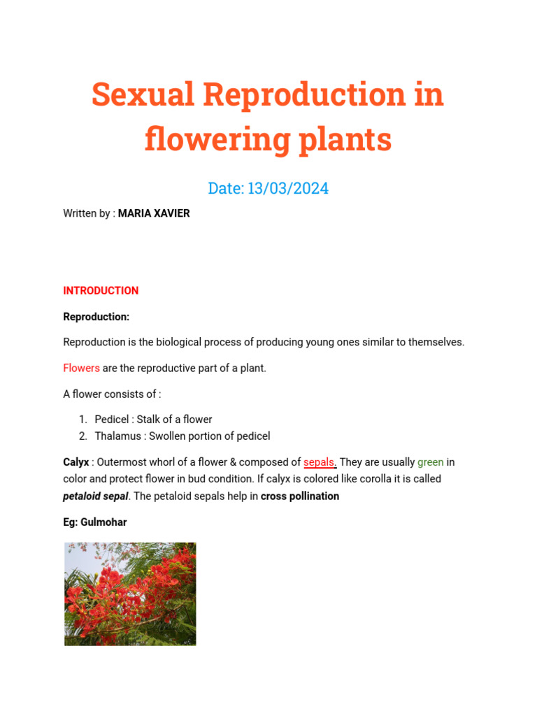Sexual Reproduction in Flowering Plants | PDF | Seed | Flowers