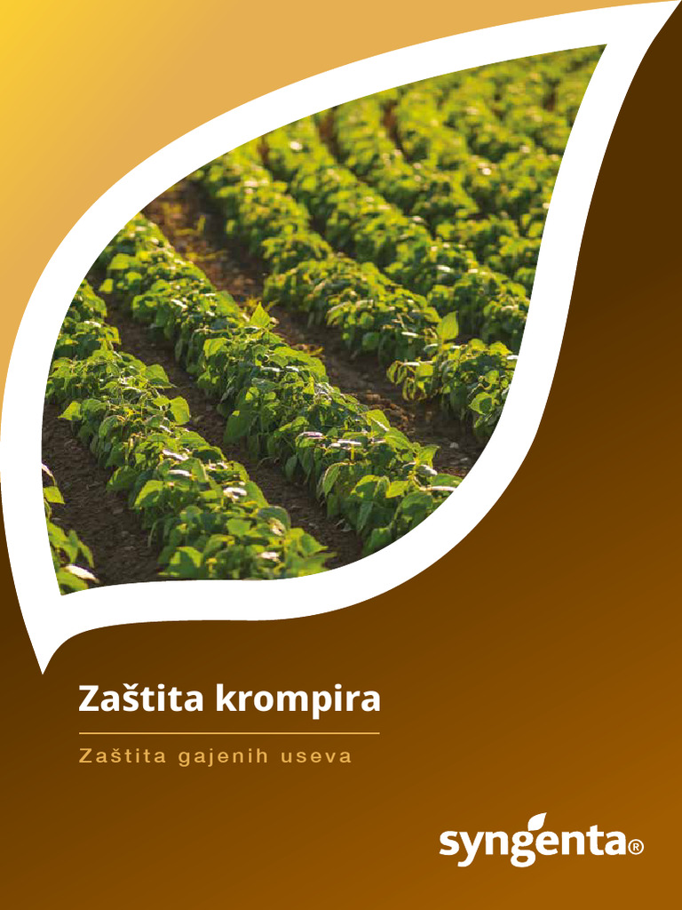 Zastita Krompira Bolesti Stetocine Syngenta Web 25 Brosura | PDF