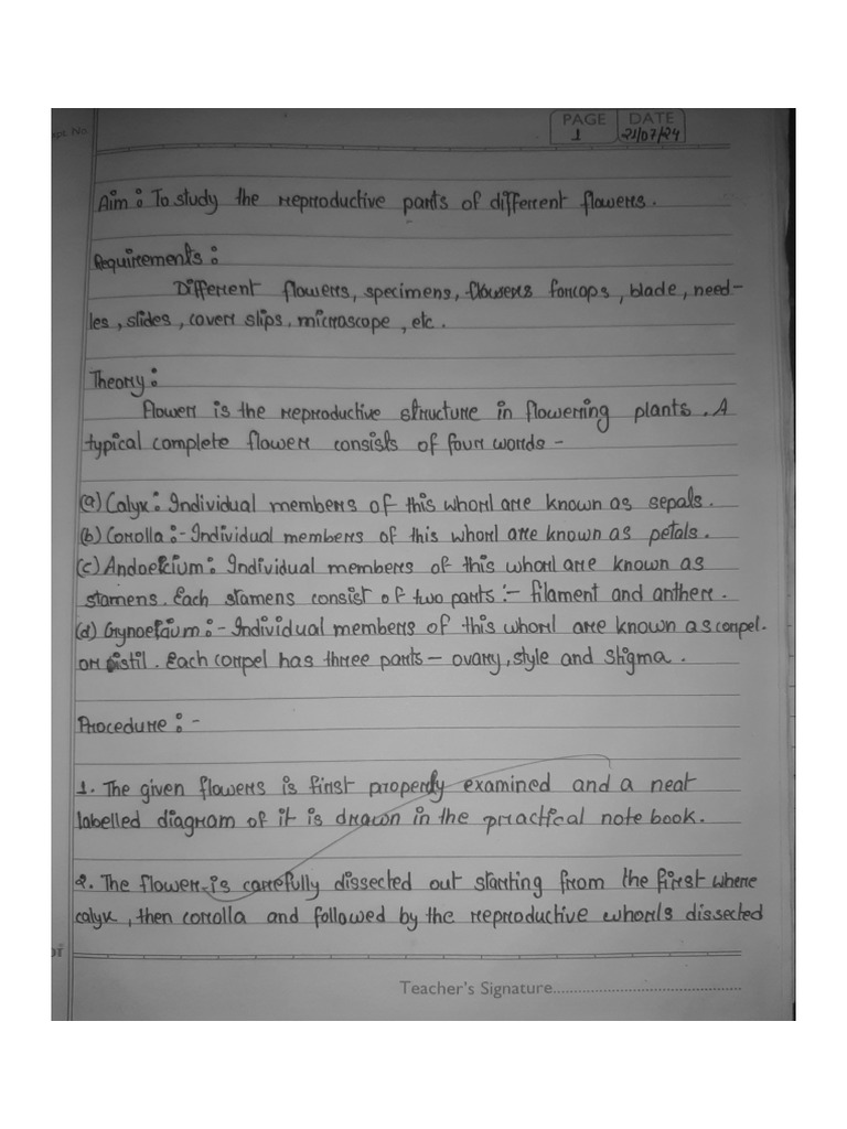 Botany Practical | PDF