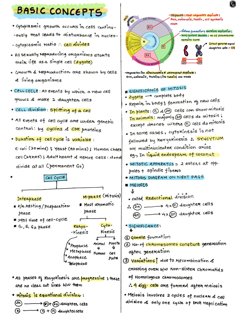 Cell Cycle and Cell Division Handwritten Notes | PDF