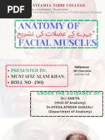 Facial Muscles Lateral View Diagram | PDF | Soft Tissue | Human Anatomy