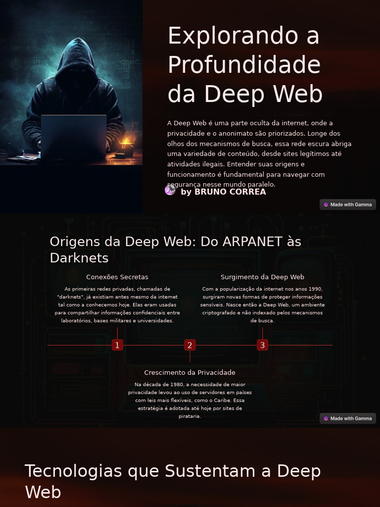 Explorando A Profundidade Da Deep Web | PDF | Internet | Criptografia