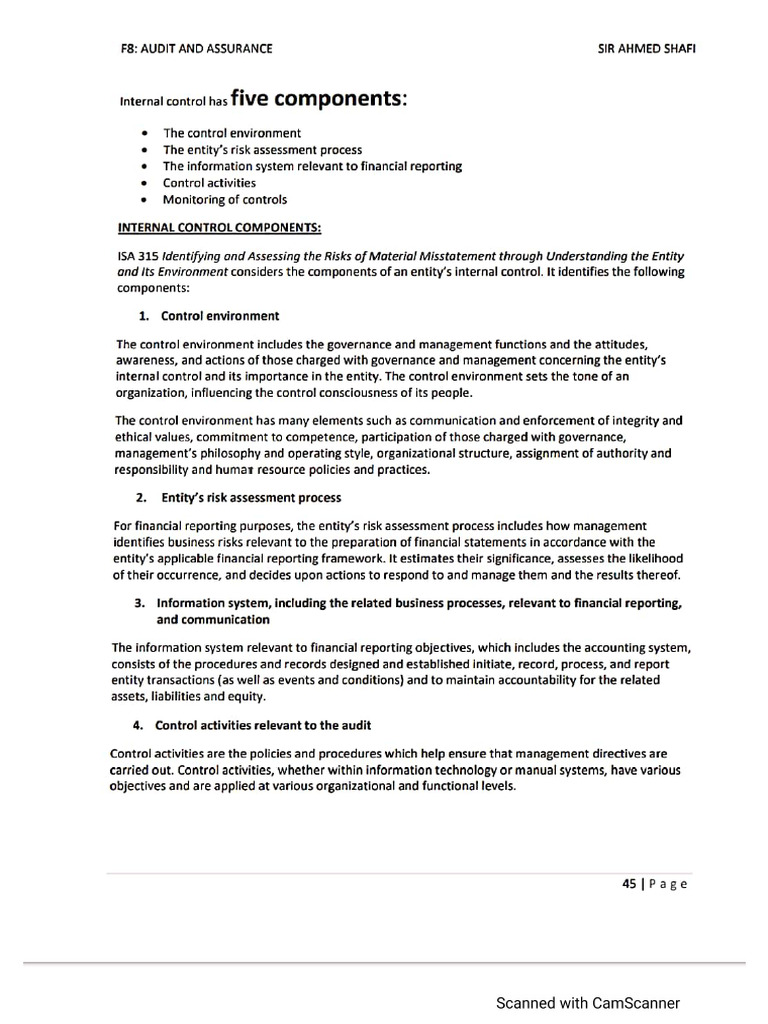 Internal Control | PDF