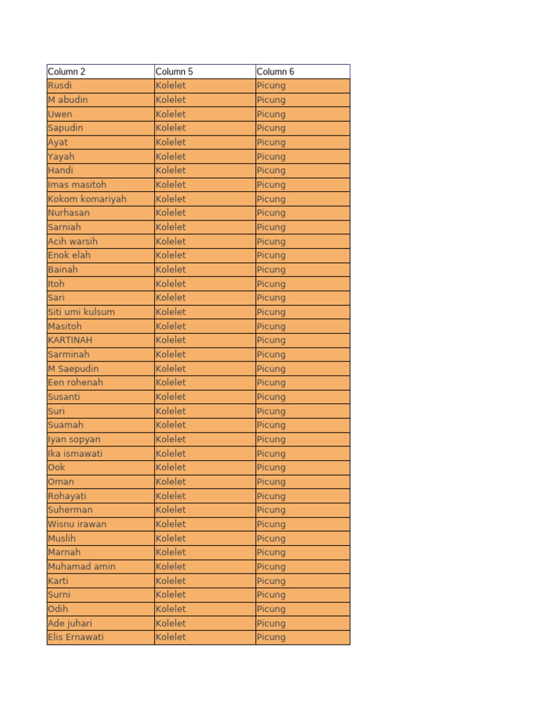 Data Canvasing Baruxlsx | PDF