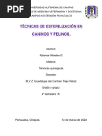 Incisión de Pfannenstiel: Técnica y Aplicaciones | PDF | Pelvis | Vagina