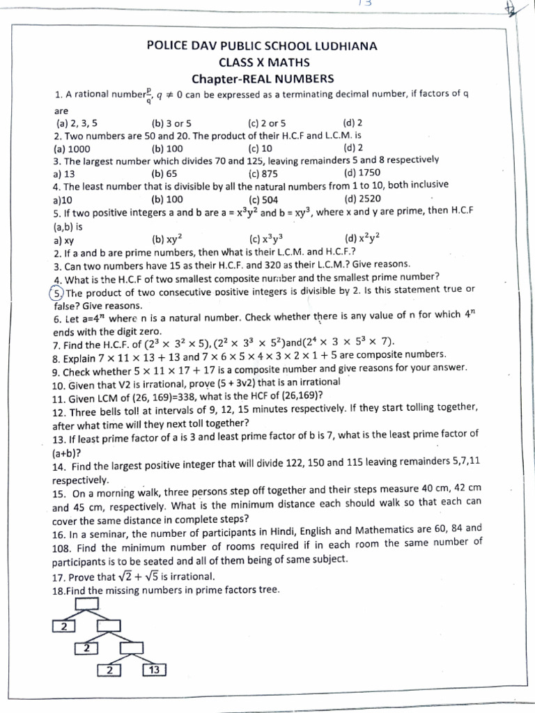 Class X Maths: Real Numbers & Polynomials | PDF | Circle | Polynomial