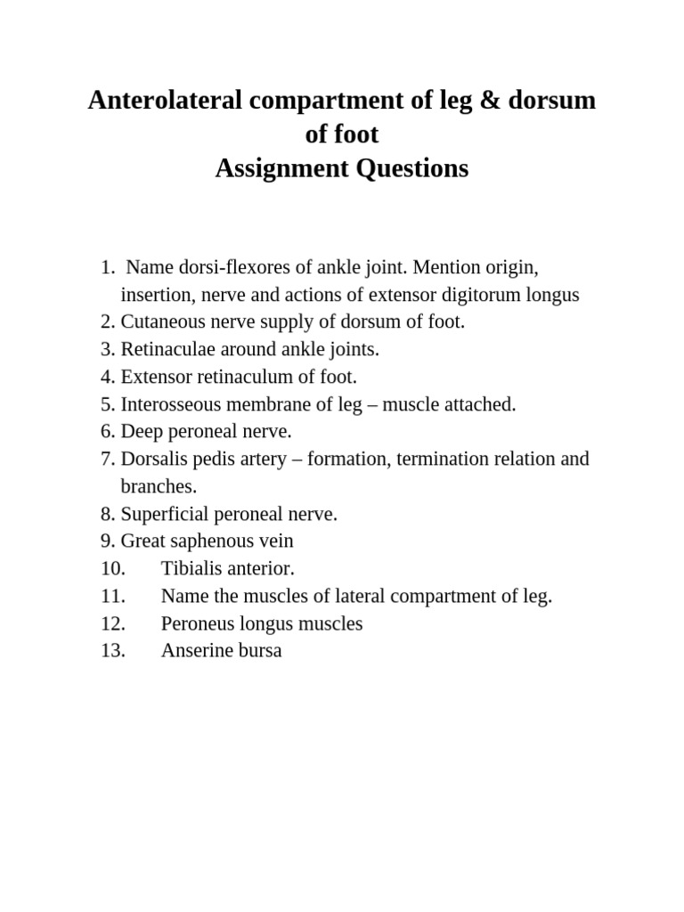 Anterolateral Compartment of Leg & Dorsum of Foot | PDF