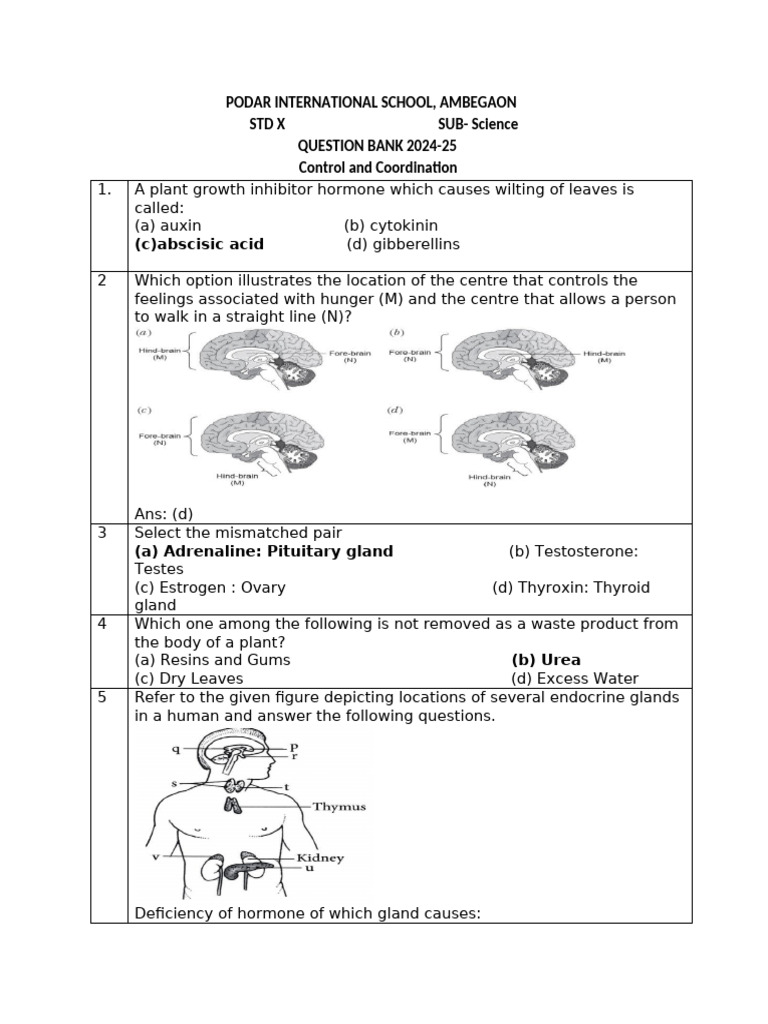 1724940964505.control and Coordination Question Bank | PDF | Neuron | Nerve