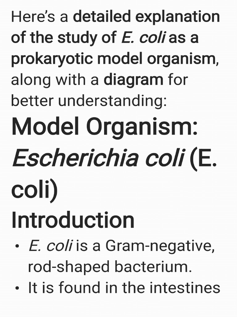 E Coli Model Organism | PDF