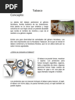 Componentes y riesgos del cigarro | PDF | Cigarrillo | Fumar