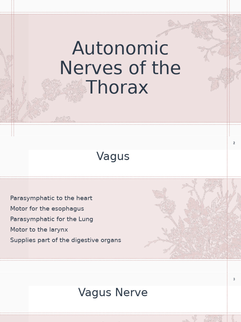 Autonomic Nerves of The Thorax | PDF