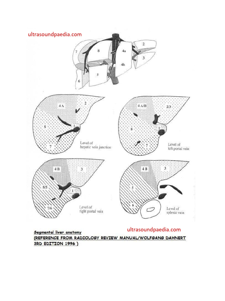 Liver Segments Schematic USG | PDF