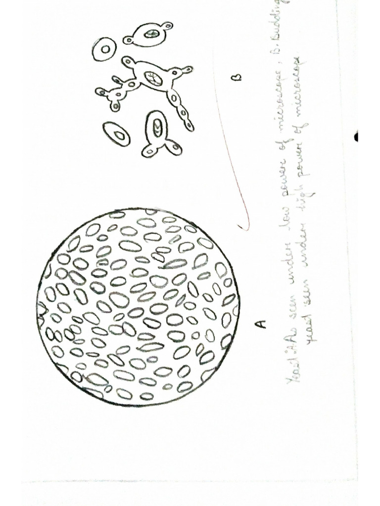 PDFReader_20250718_1130 | PDF