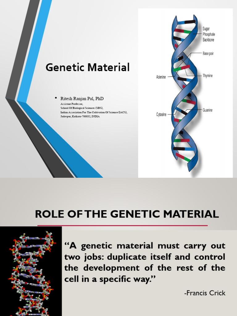 History of Genetic Material Discovery | PDF | Dna | Francis Crick