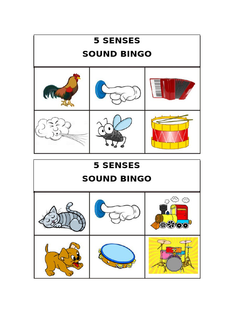 5 Senses Sound Bingo | PDF