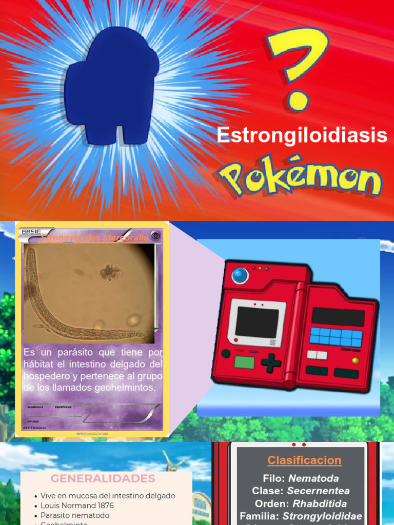 Estrongiloidiasis: Parásito y Tratamiento | PDF | Sistema inmune ...