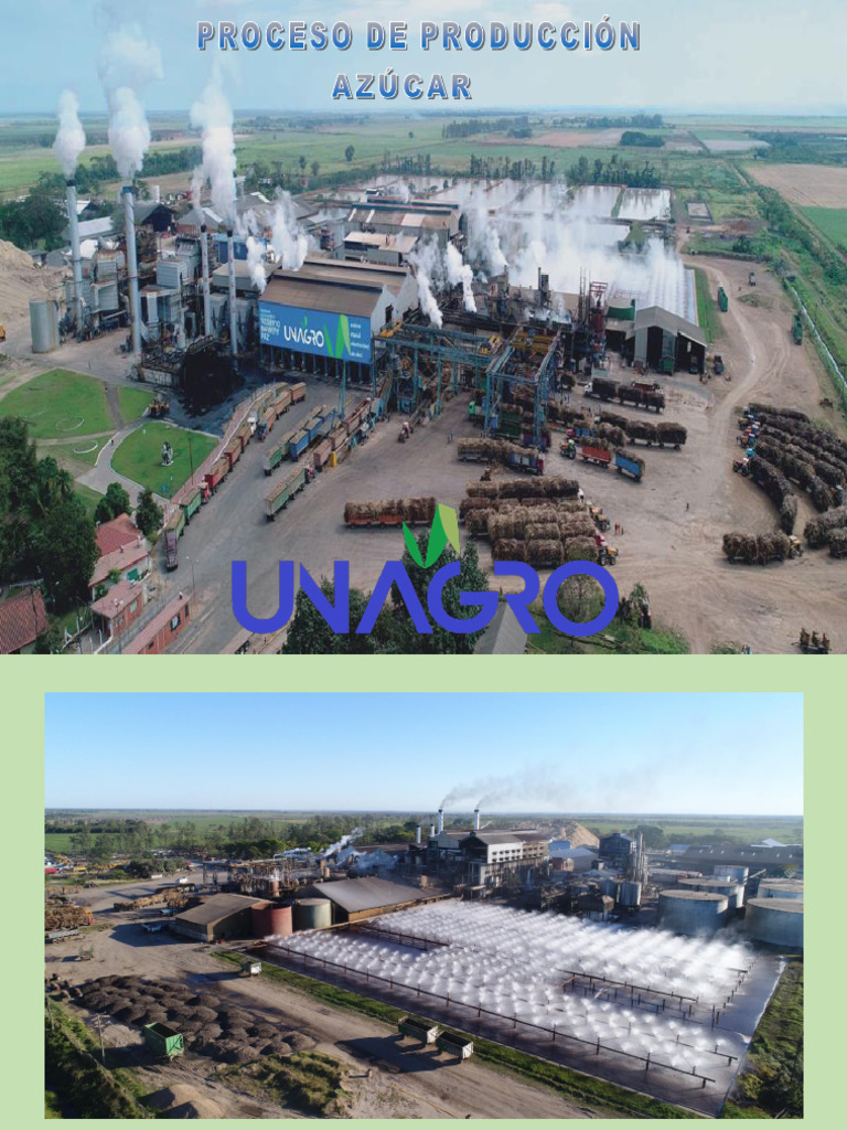 Proceso de Fabricación de Azúcar | PDF | Caña de azúcar | Melaza