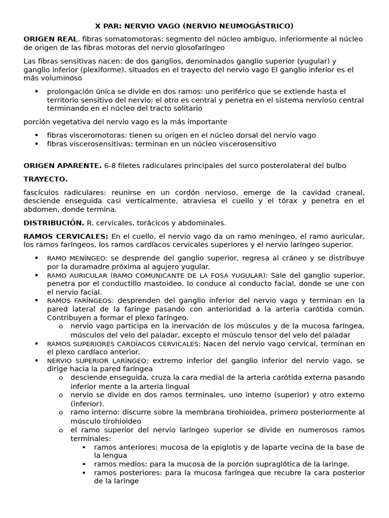 Anatomía y Funciones del Nervio Vago | PDF | Nervio vago | Laringe