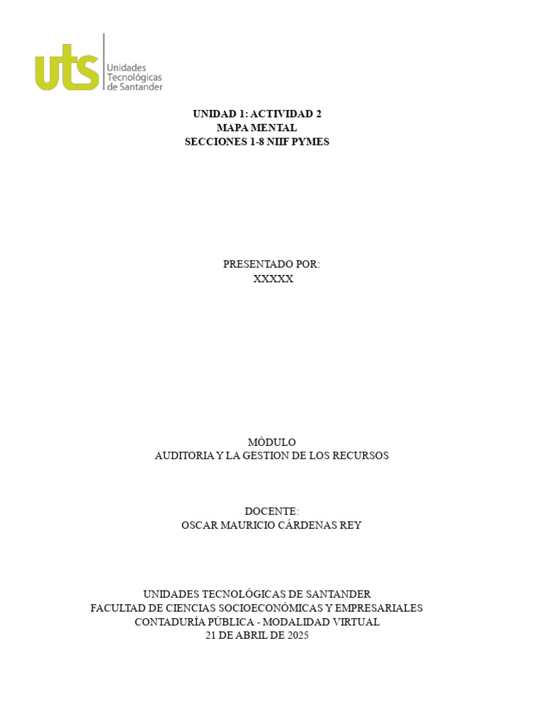 Mapa Mental NIIF PYMES para Auditoría | PDF