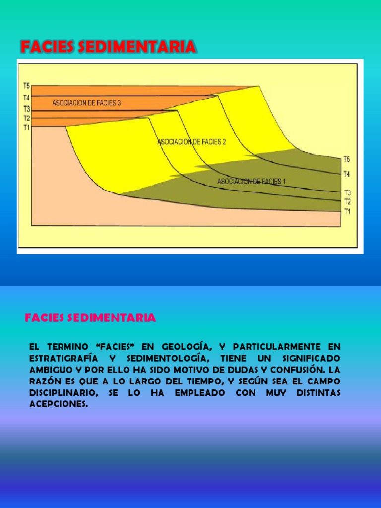 FACIES SEDIMENTARIA