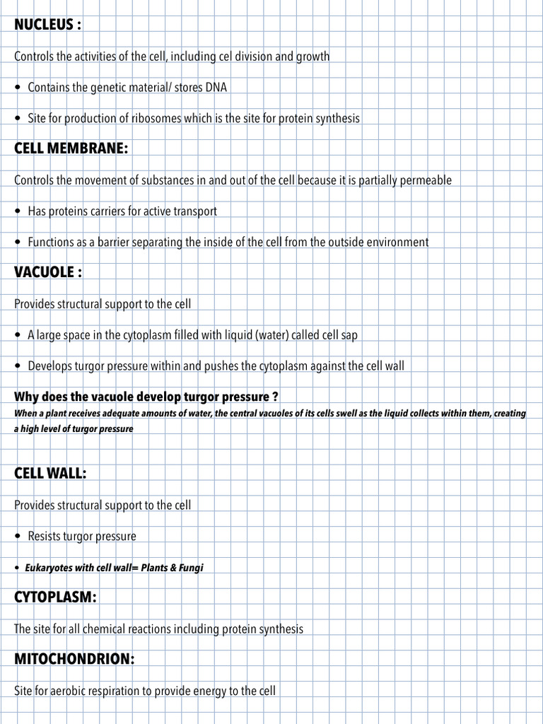 Parts and Functions of A Cell | PDF