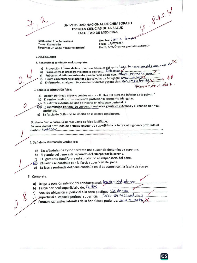 Ilovepdf Merged (2) Merged | PDF | Abdomen | Riñón