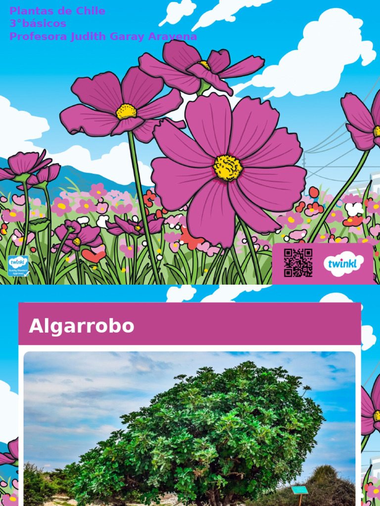 Flora de Chile para Niños | PDF | Arboles | Madera