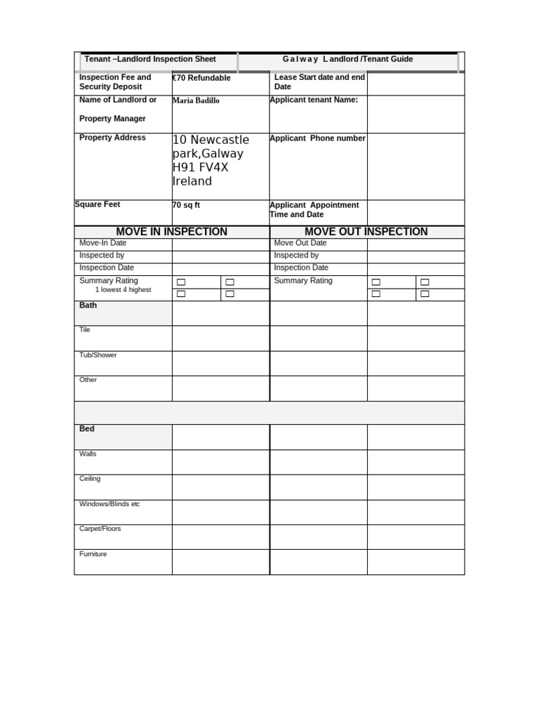 Galway Apartment Inspection Form Ireland | PDF