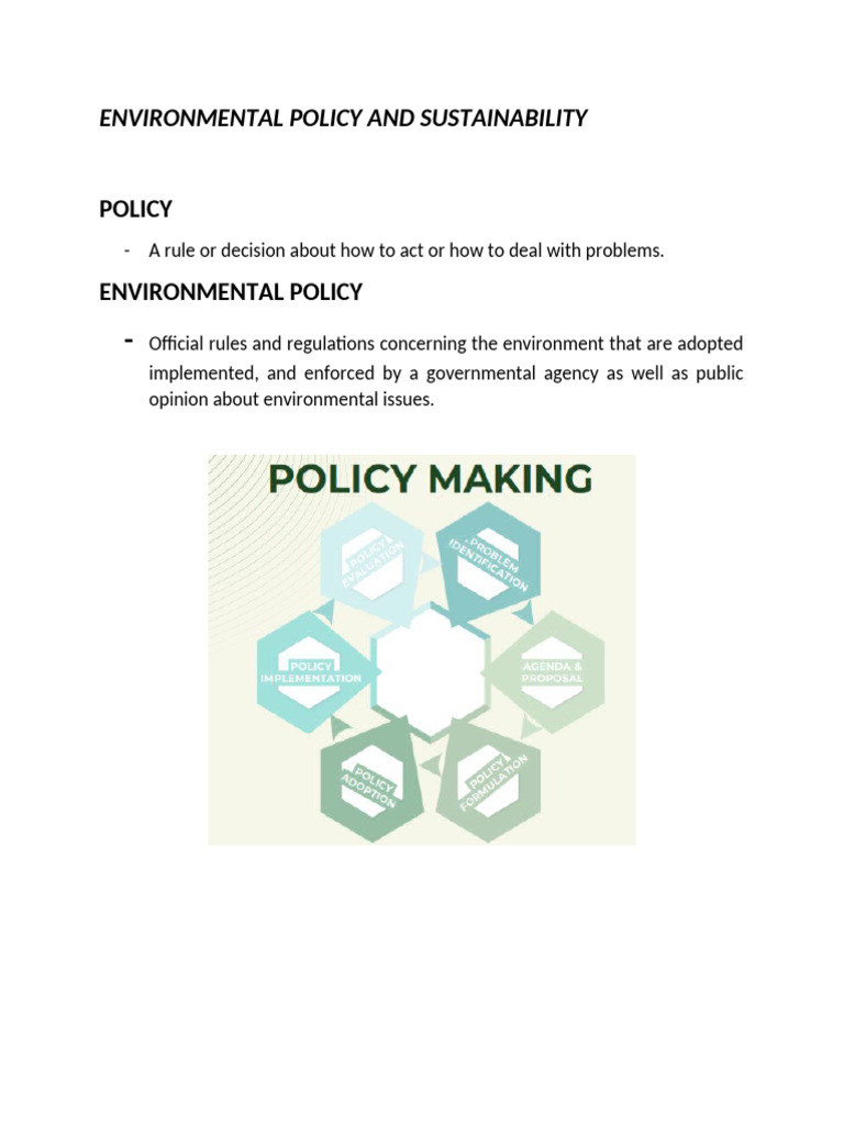 Environmental Sustainability Policies Overview | PDF
