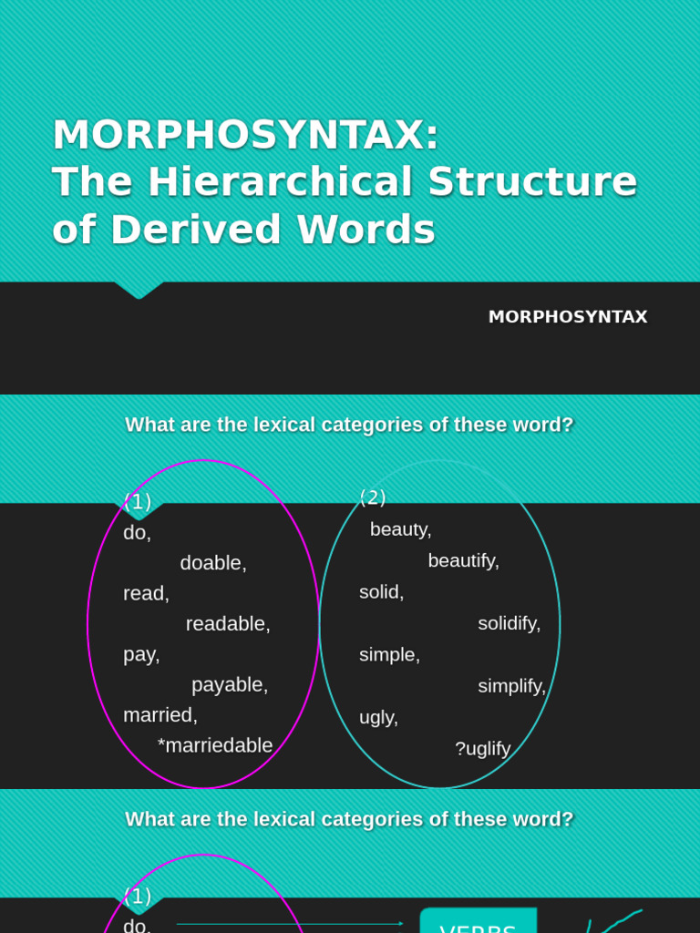 Hierarchy of Words | PDF | Part Of Speech | Word
