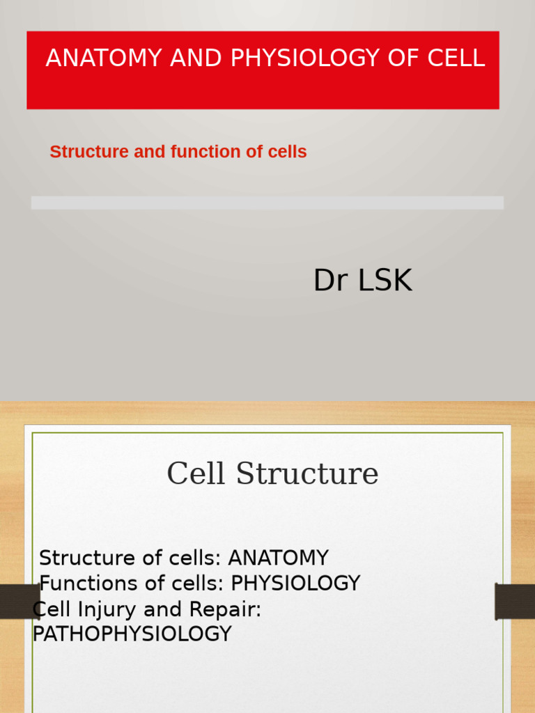 Updated Note Cell Structure and Functions | PDF | Cell Membrane | Mitosis
