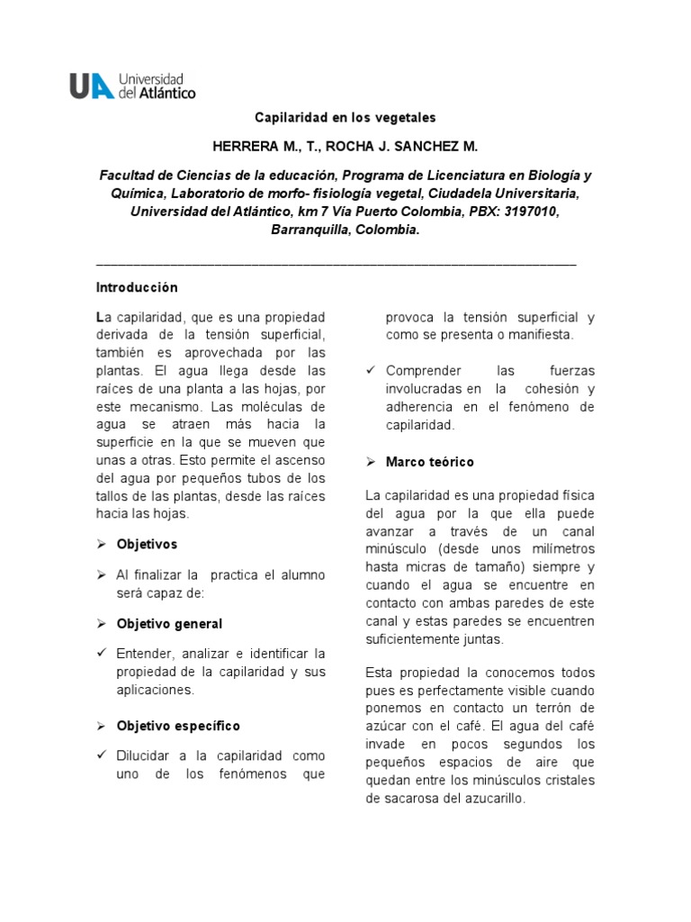 Capilaridad en Plantas: Conceptos y Práctica | PDF | Agua | Plantas