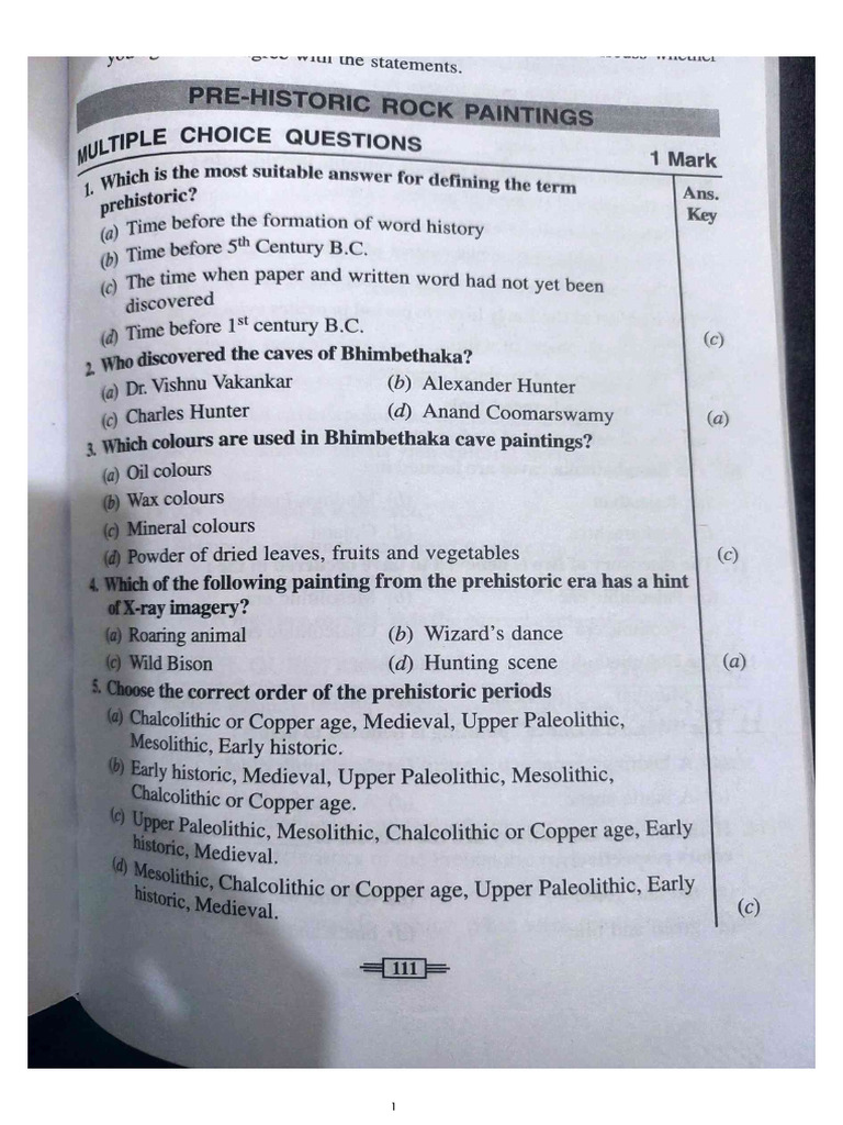 ClassXI Practice Questions Fine Art | PDF