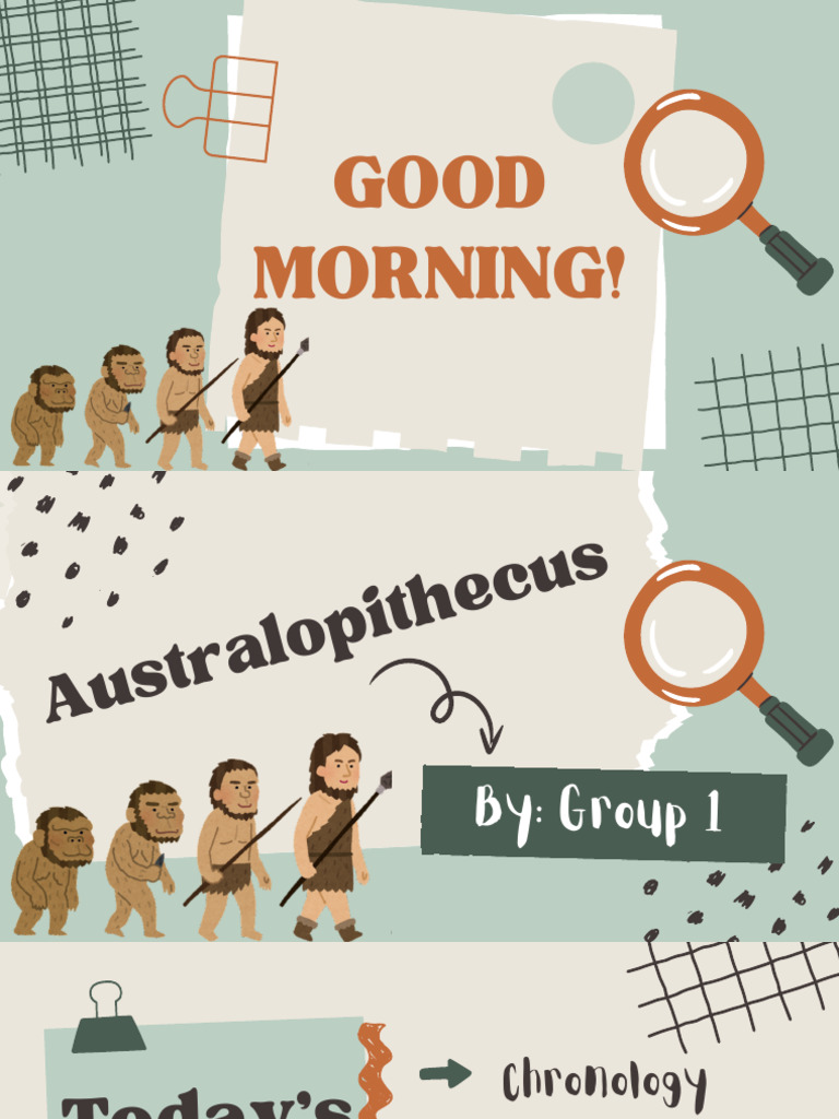 Australopithecus: Key Facts & Evolution | PDF | Lucy (Australopithecus ...