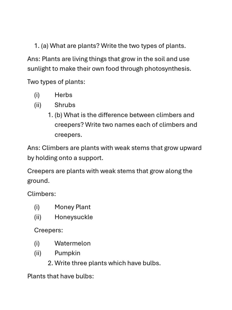 Class 5 GK 2 | PDF