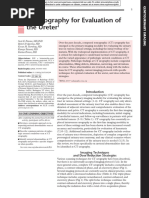 CT Urography: Techniques & Protocols | PDF | Ct Scan | Kidney