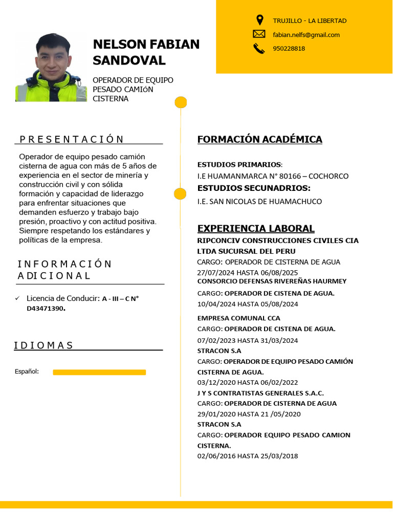CV Nelson Fabian Sandoval | PDF | Información | Derecho laboral
