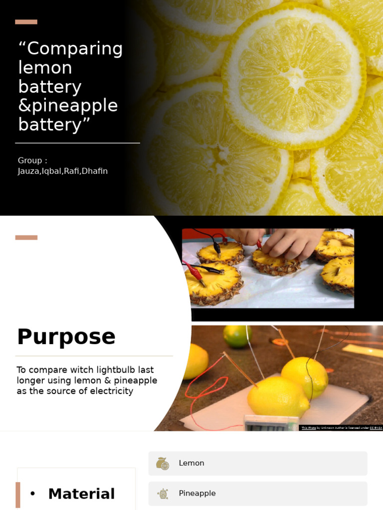 Comparing Lemon Battery &pineapple Battery | PDF | Electron | Lemon