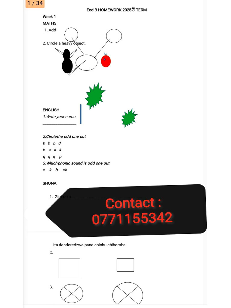 Ecd B Homework Sample 0771155342 | PDF