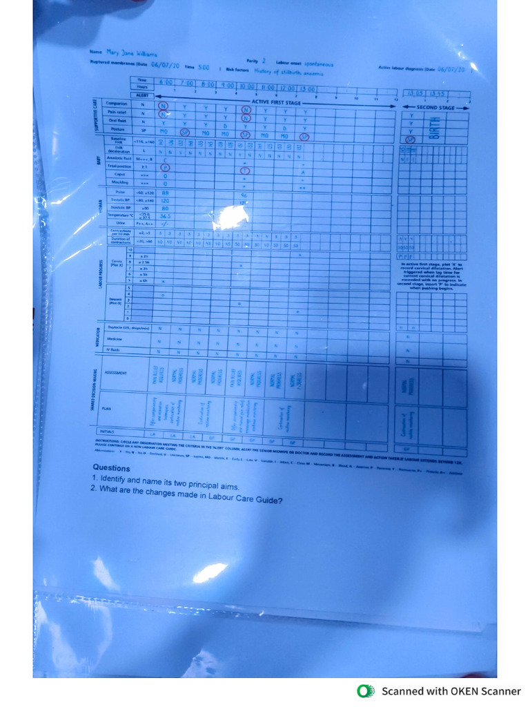 CTG Partogram Charts | PDF