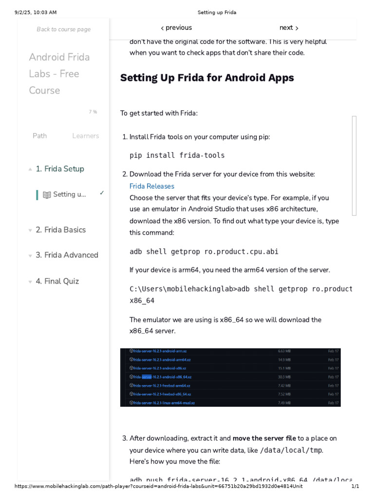 Setting Up Frida On Android Devices Pdf